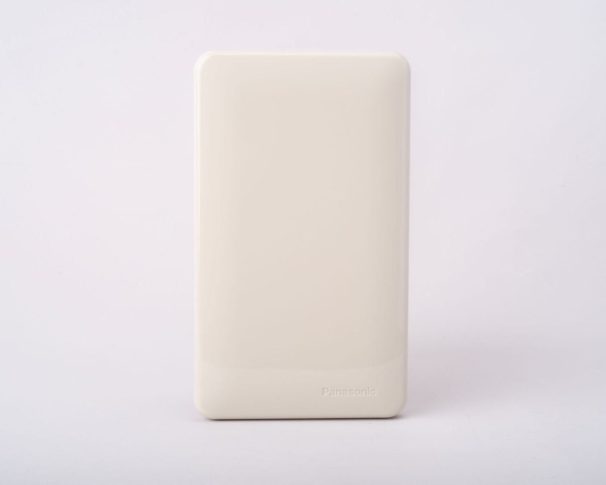 PANASONIC BLANK PLATE (CLASSIC SERIES) – Buildwell Depot